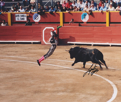 Tradiciones Taurinas Perú.: David Fandila "EL FANDI"