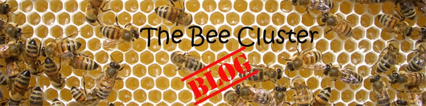 The Bee Cluster: Nucleus Hives : The beginning