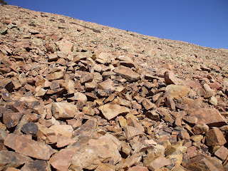 Geology Field Trip Project 2010: Pikes Peak - Frost Wedging