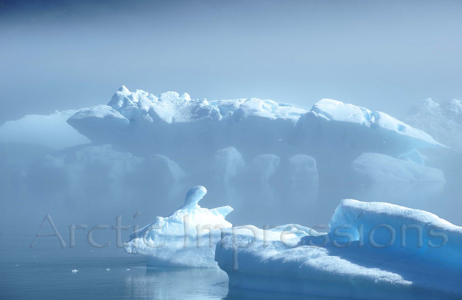 Arctic Impressions: Ice