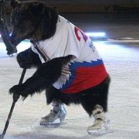 Hockey Animal - For The Everyday Player: Hockey Is Such A Great Sport!