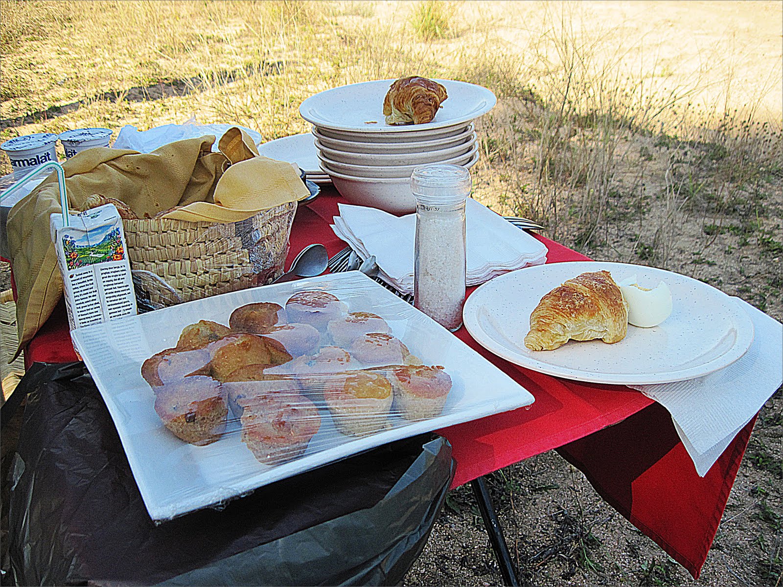 A Breath of Fresh Air: Bush breakfast day................