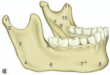 mars 2010 ~ [ Club Dentaire ]