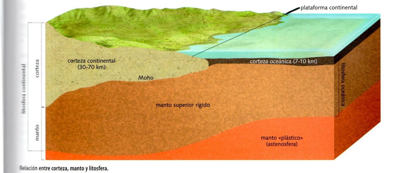 BIOLOGIA de 4º de la ESO: TEMA 1 : Tectónica de placas