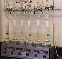 Reportes de alimentos: DETERMINACION DE LIPIDOS (EXTRACTO ETEREO)