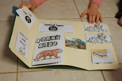 old blog: Tigers/big Cats lapbook (Noah's)