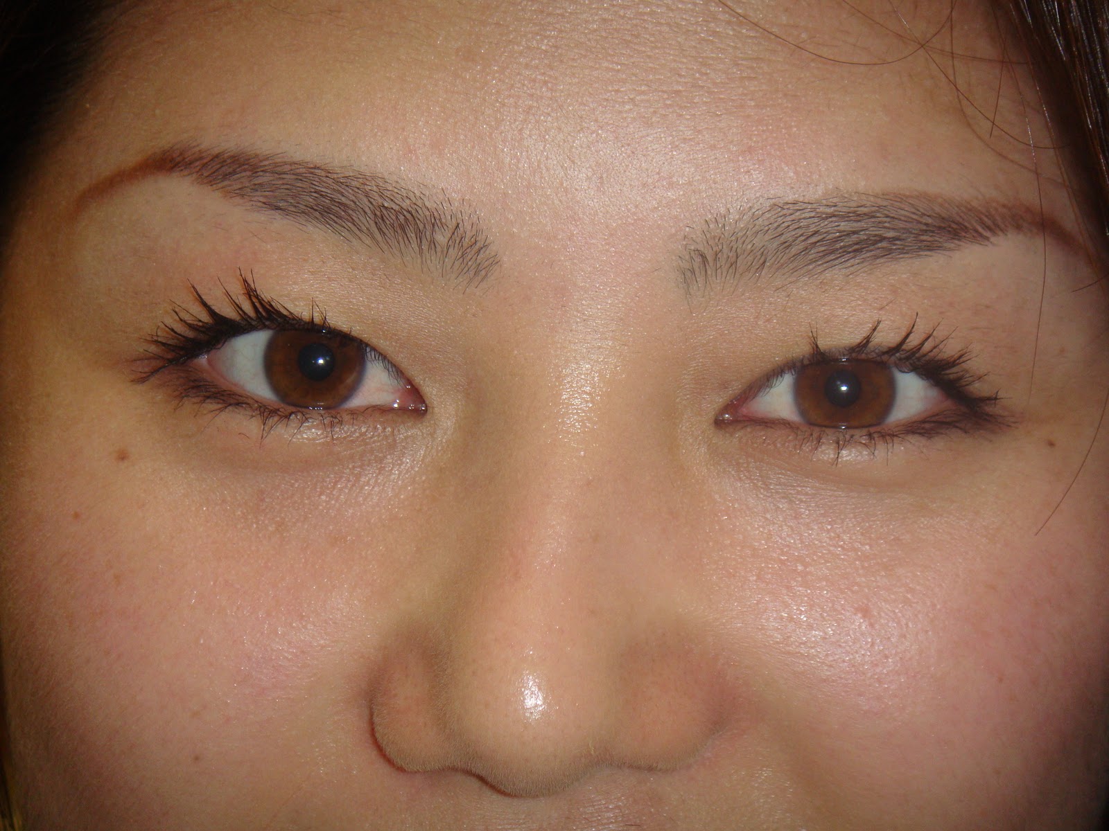 Testado e Aprovado: Curvex Shiseido