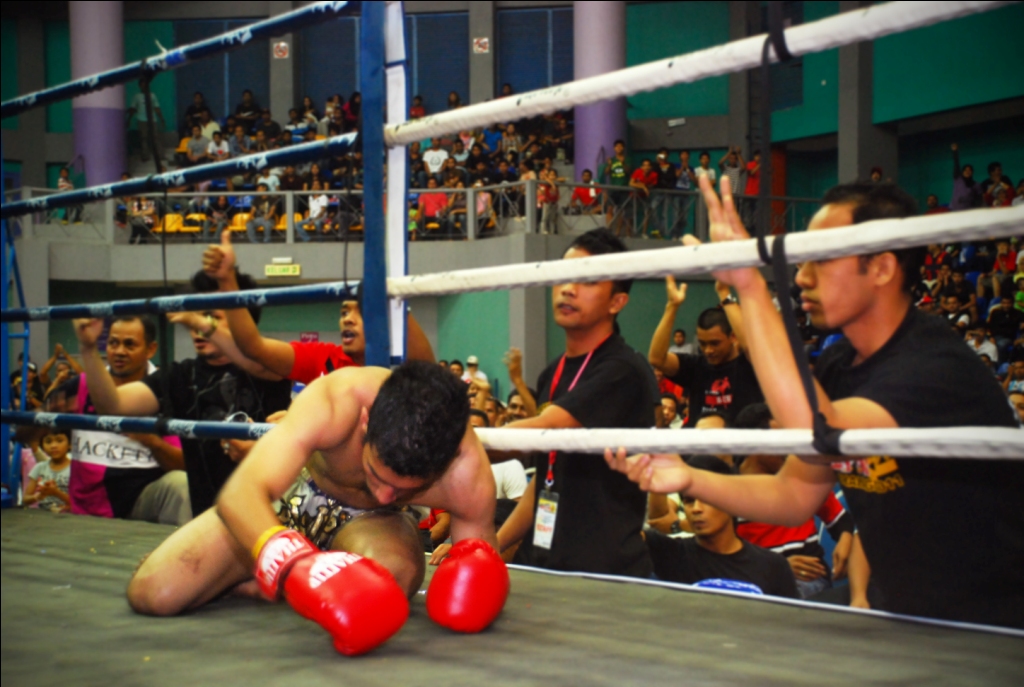 Human Interest: January 2011