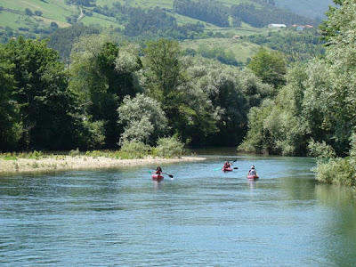 Recorridos por la Naturaleza. Ecologistas en Acción Cantabria: Descenso ...