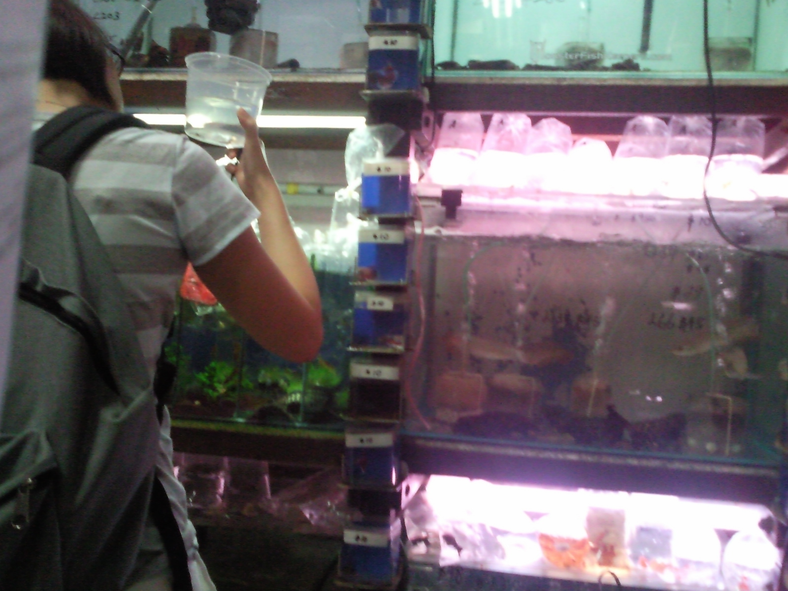 Tropical Fisher Man Fish Tanks And Aquarium CRS: C328 LFS Clementi ...