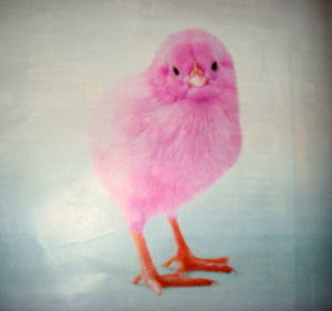 A Voz da Igualdade: Crianças Transgêneres: A diversidade