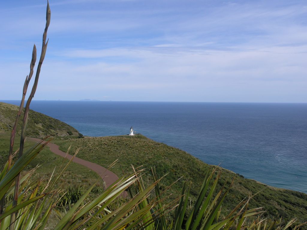 Там, где цветёт лантана: Cape Reinga & the giant Kauri trees
