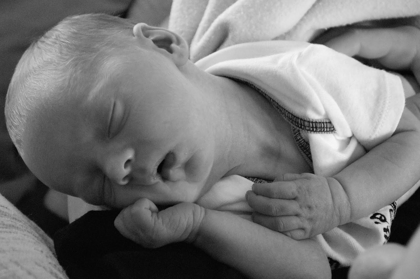 Visual Bliss: Cayden Joseph Lewis