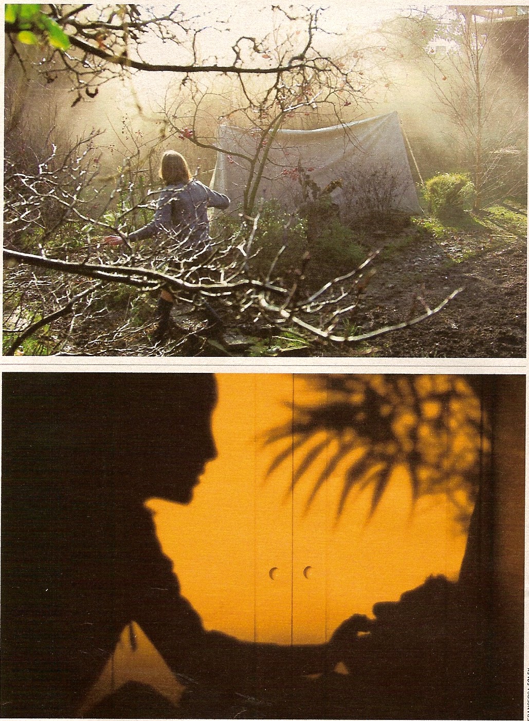 Livi Barter: Tim Walker - 'The Lost Explorer'