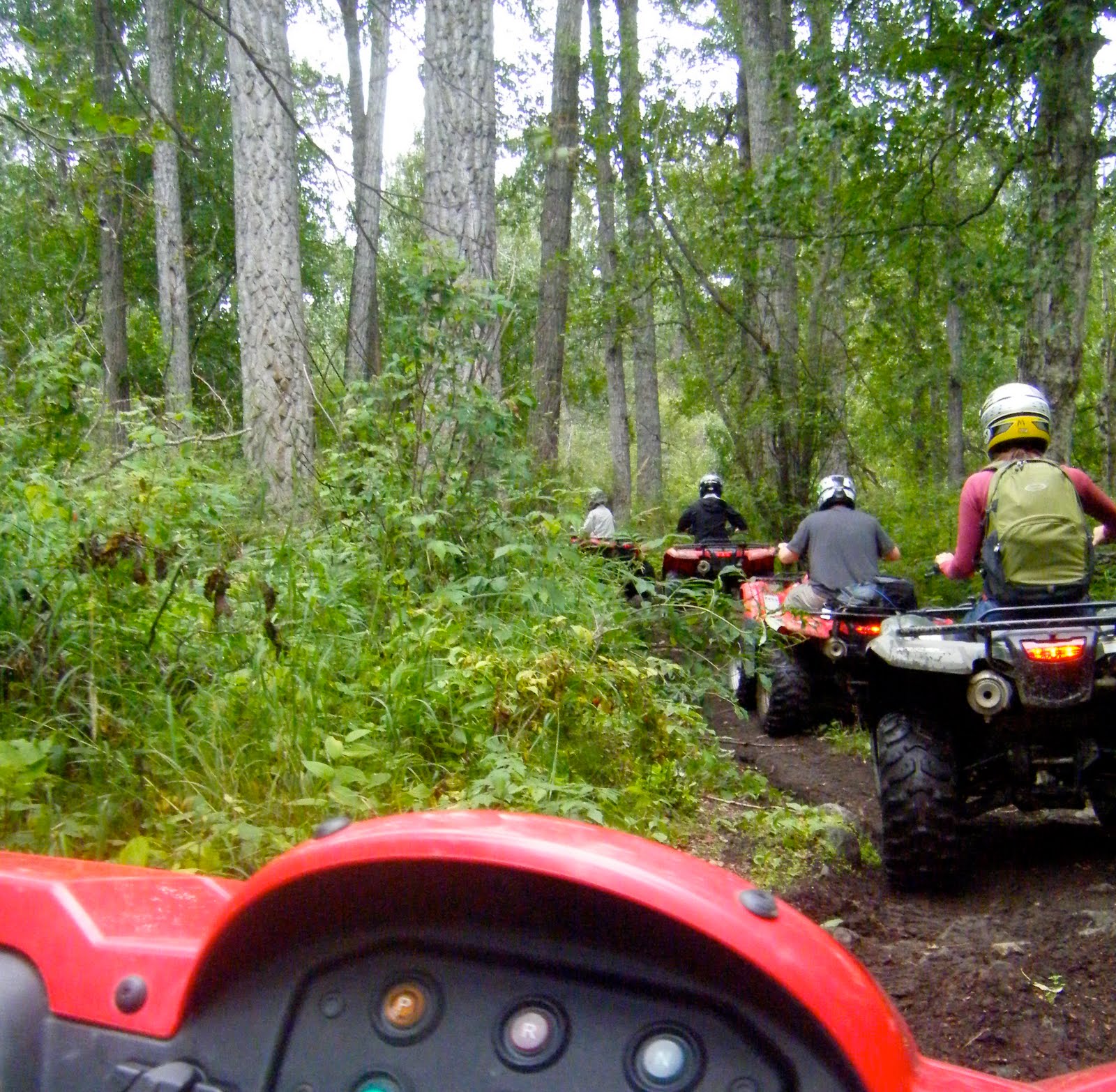 runningbrooke: Humpy's Marathon in Anchorage, Alaska!