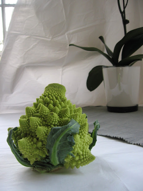 Foodwanderings: Romanesco Floret Fritters in Beer and Honey Batter