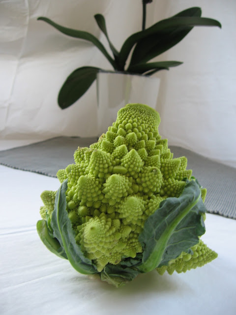 Foodwanderings: Romanesco Floret Fritters in Beer and Honey Batter