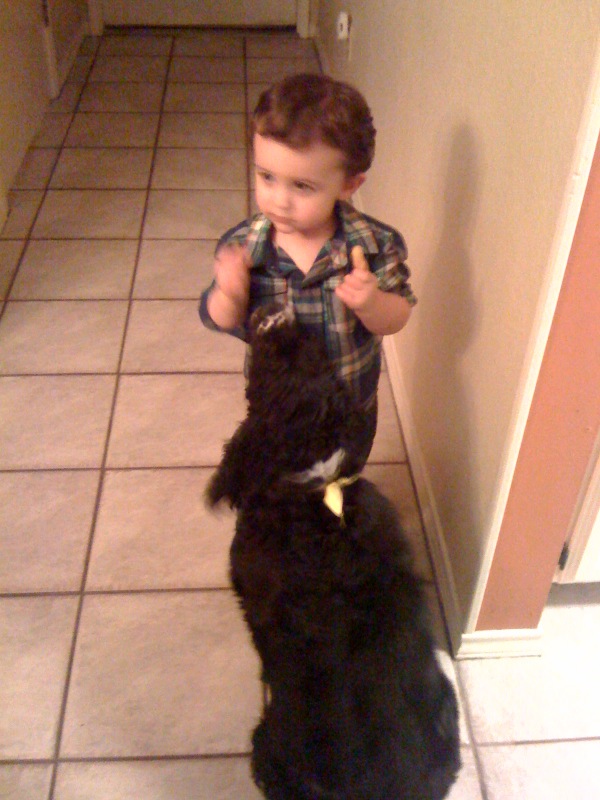 Hello World, It's Whitney: Game Bibs and Redneck Fish Fry