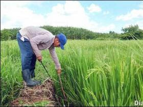 Detalles que nunca supiste de la muerte de Radhamés Trujillo