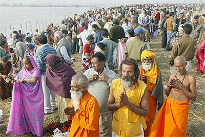 amarillo y negro: Fiesta [Grande] Hindú