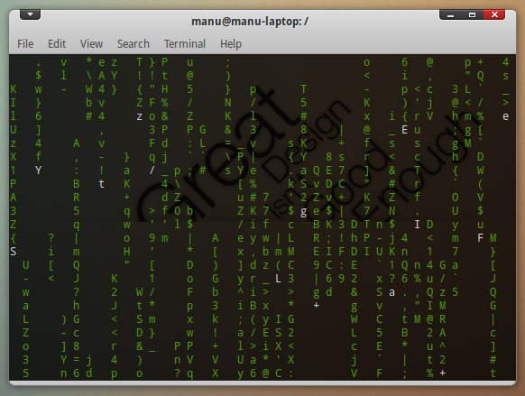 Matrix in Your Terminal is Cool!