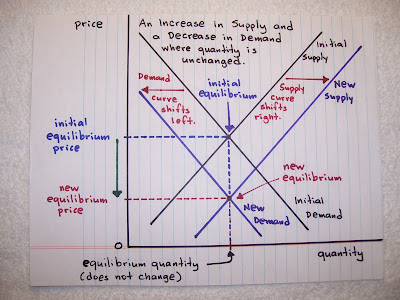 Economic Perspectives: An Increase in Supply & a Decrease in Demand