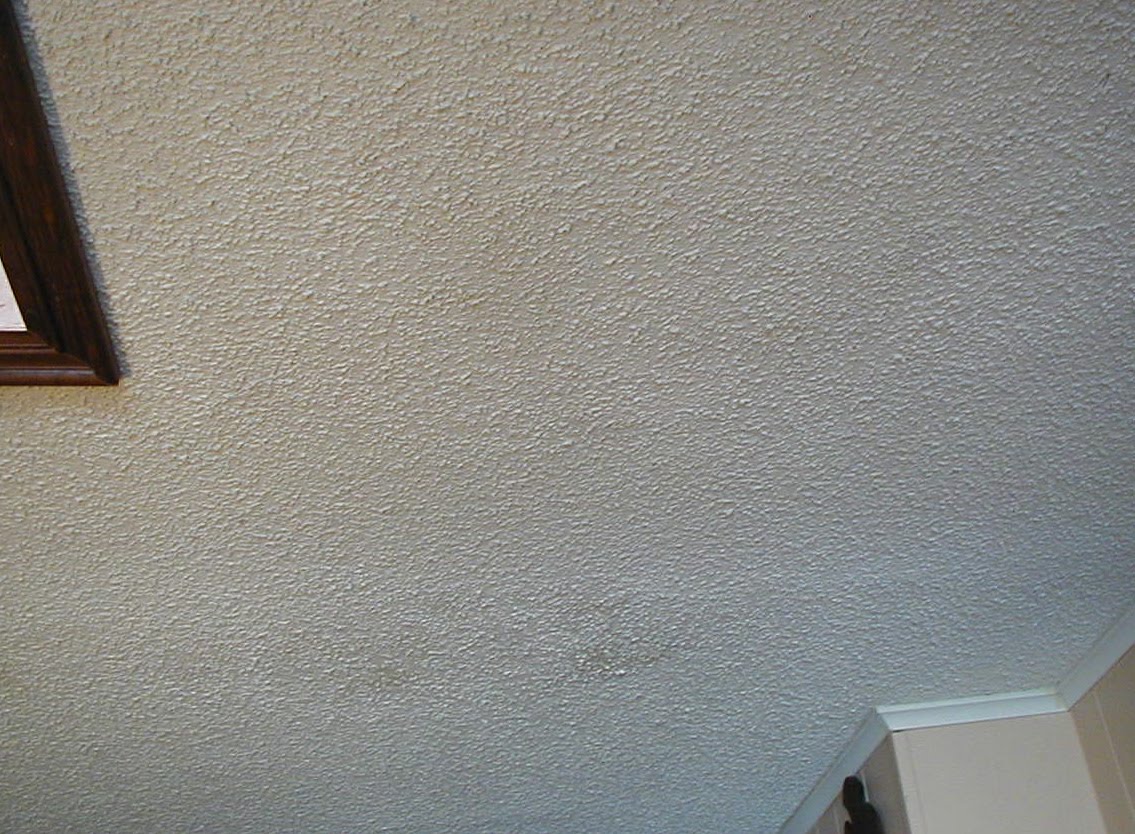 Daily bits of life: What to do about ceiling damage