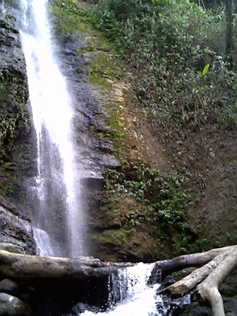 Asociación Civil Proyectos Especiales Aromas de Portuguesa: Visita a ...