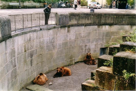 Bear pit - Alchetron, The Free Social Encyclopedia