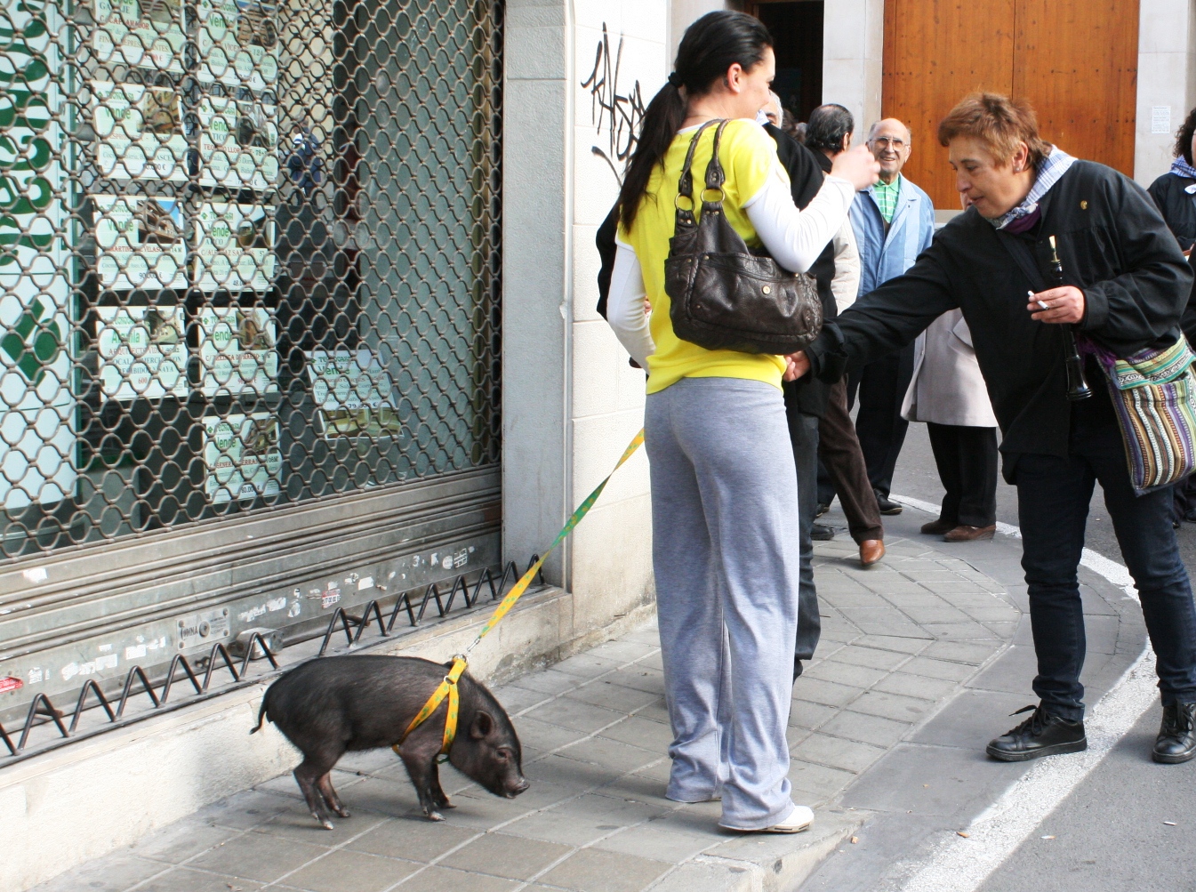 Fotos Francisco Gonzalez: ESTOS ANIMALES DE COMPAÑIA