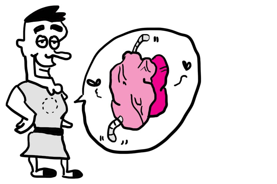 Bible Cartoon: Finding David