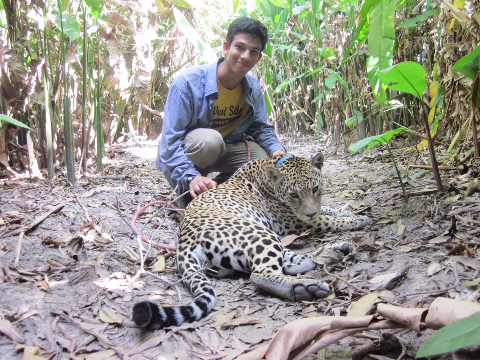 Carlito Treks: Parque Ambue Ari