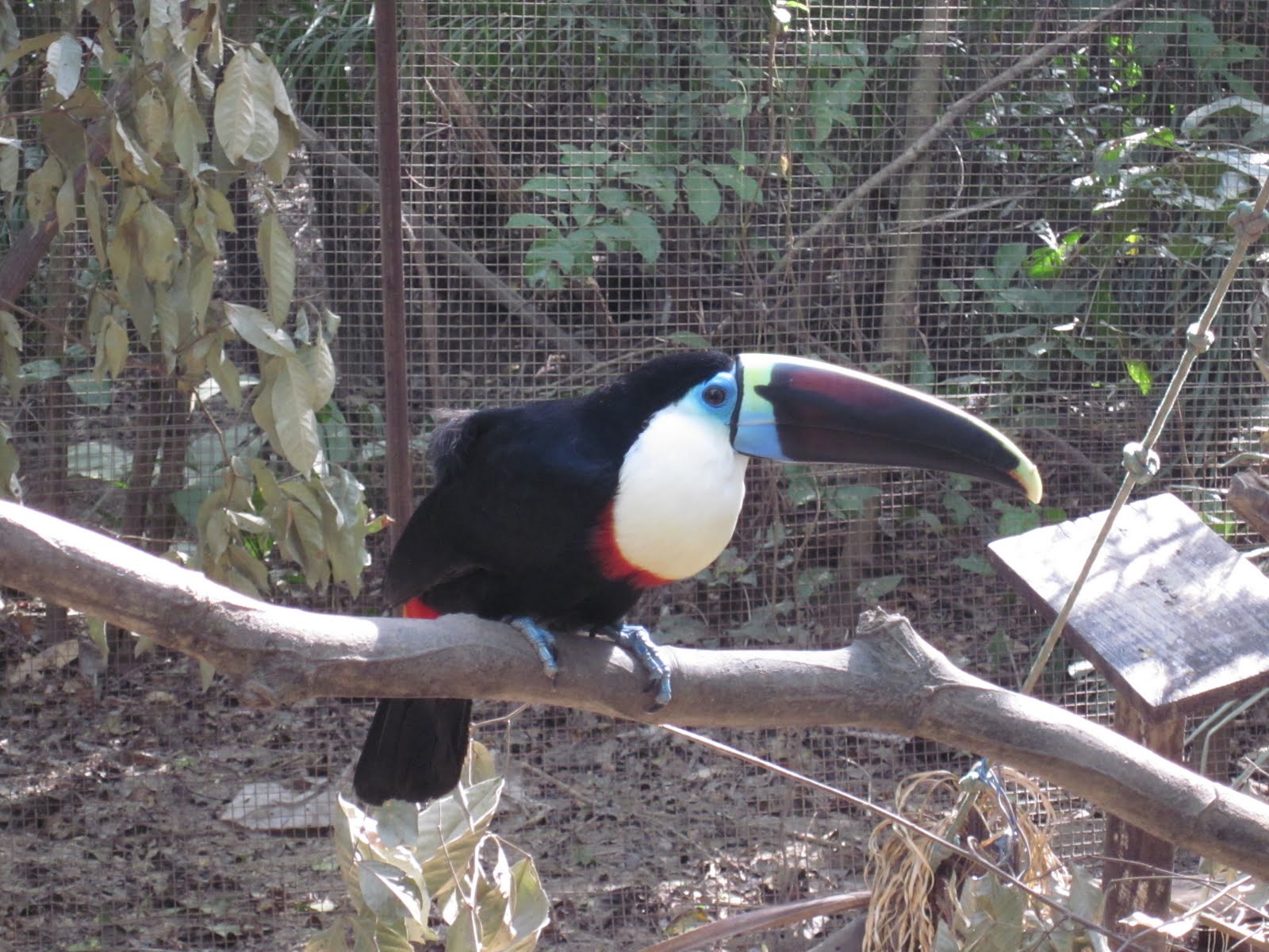 Carlito Treks: Parque Ambue Ari
