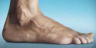 Archery Critic: Barefoot Bowhunting