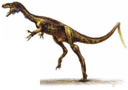 Ciencia con espiral de limón: febrero 2011