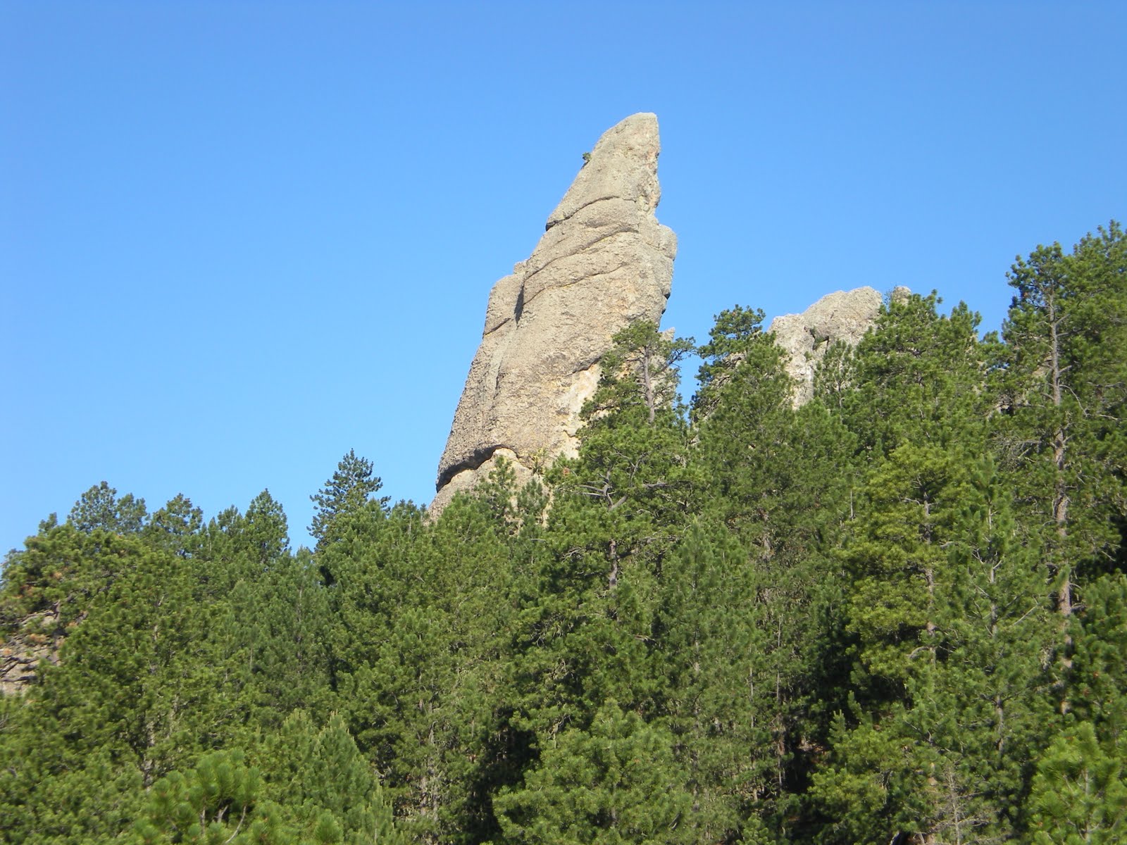 Spokes Across America 2010: Needles Highway - Tall Needle-like Rock ...