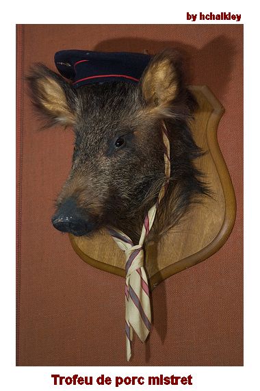 Gone Fishin' - pescuitul ca pasiune