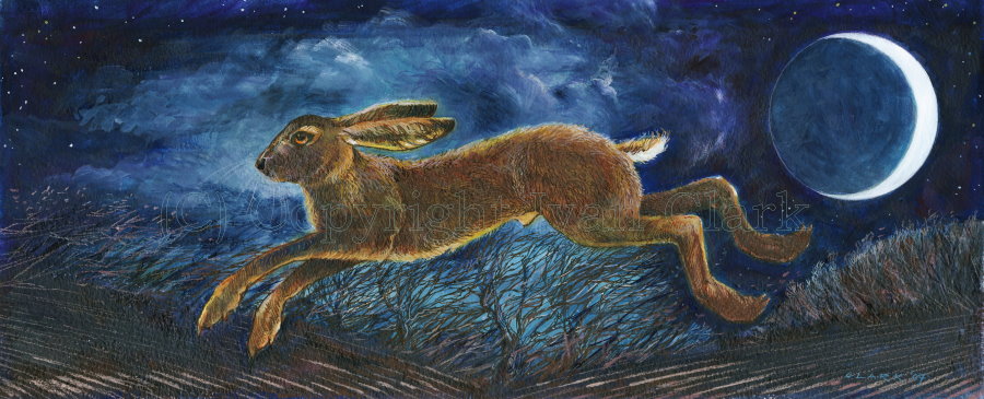 a-faerietale-of-inspiration: Moon Hare