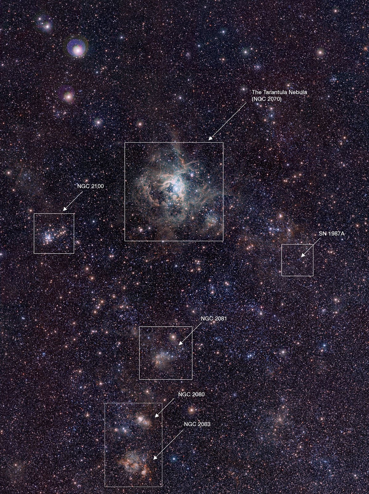 Ministry of Space Exploration: The 30 Doradus/Tarantula Nebula Region