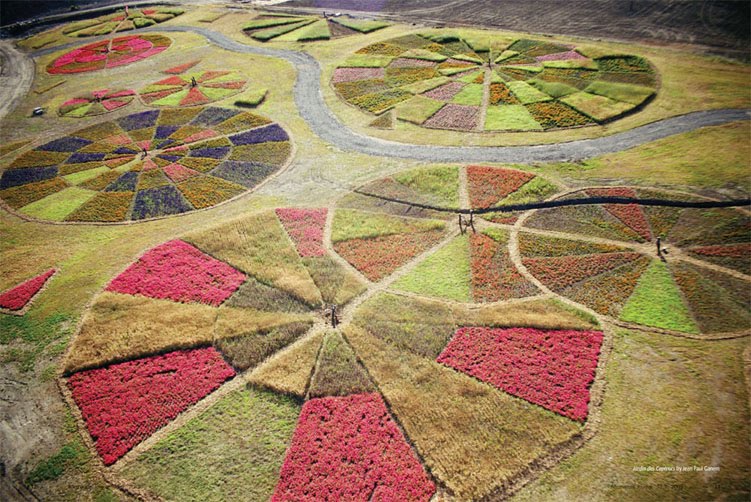 Naturaleza: Jean Paul Ganem