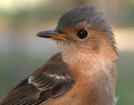 Our Family's Journey (Beyond Sound Finances): Travel to Tinian - A ...