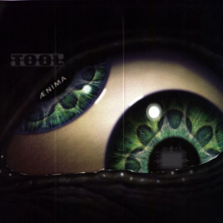 Aenima Tool Album