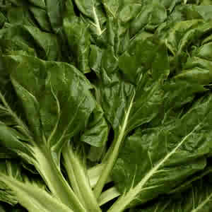 Las plantas y sus usos: Acelga