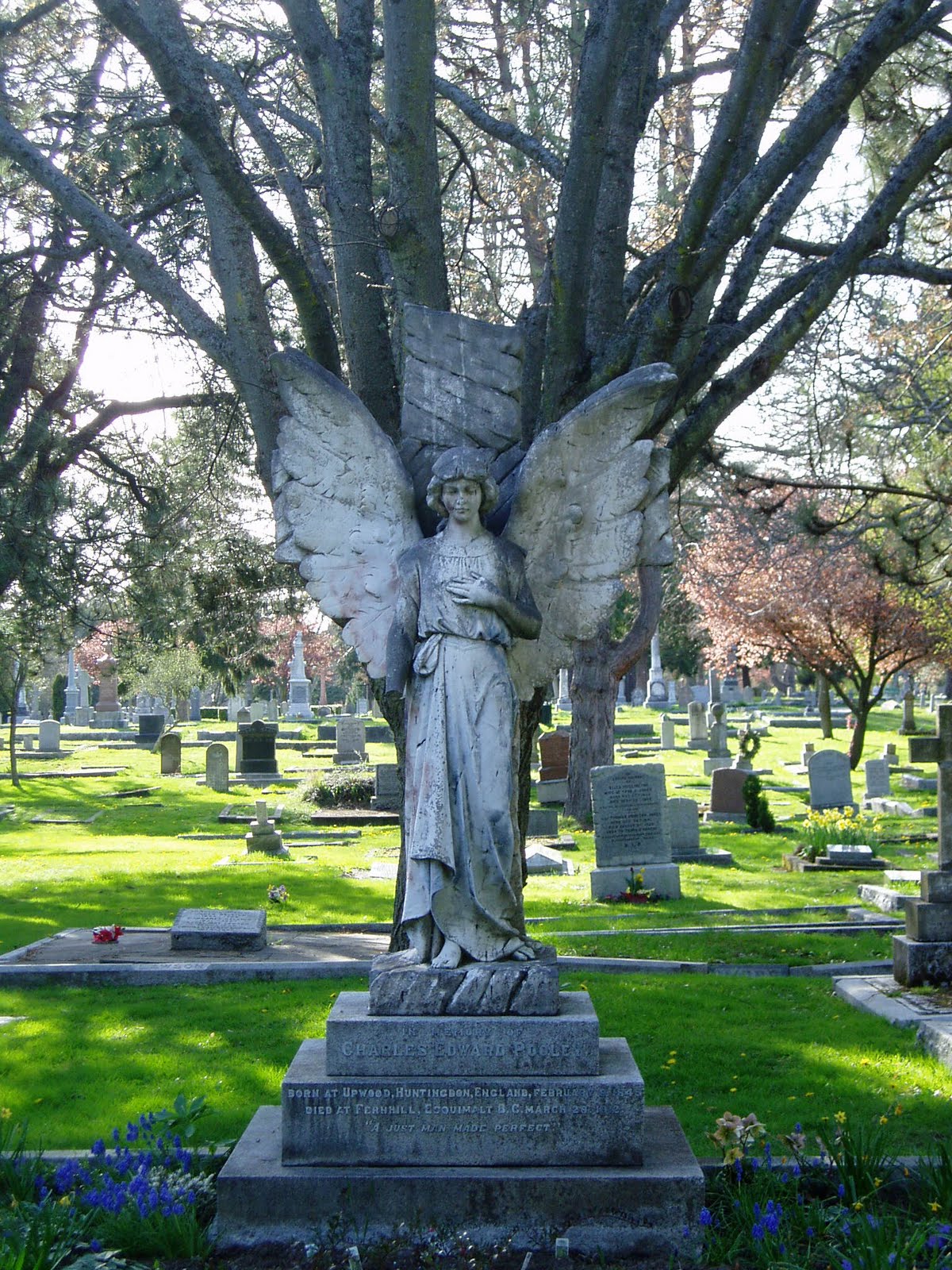 Go Mbeire An Diabhal Leis Thú!: Ross Bay Cult