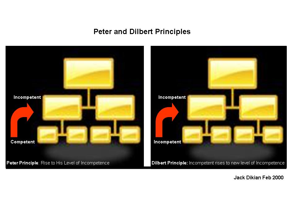 Social Research: Promoting The Incompetent