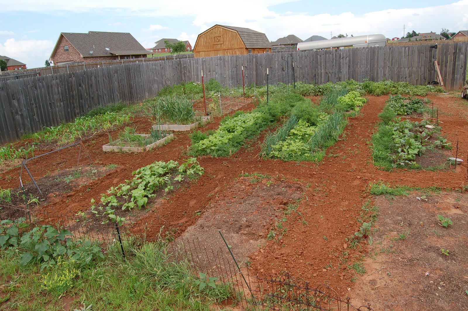 one-acre-homestead-welcome-to-fresher-than-fresh-cooking-with-scapes