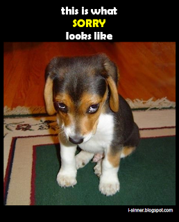 sinner's scrapbook: This is what SORRY looks like