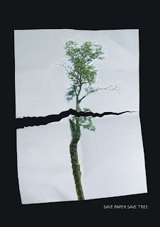 Don't Waste Paper: Some Facts About Paper Waste