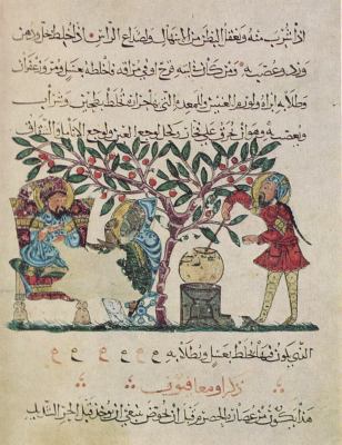 Alchemical Emblems, Occult Diagrams, and Memory Arts: January 2011