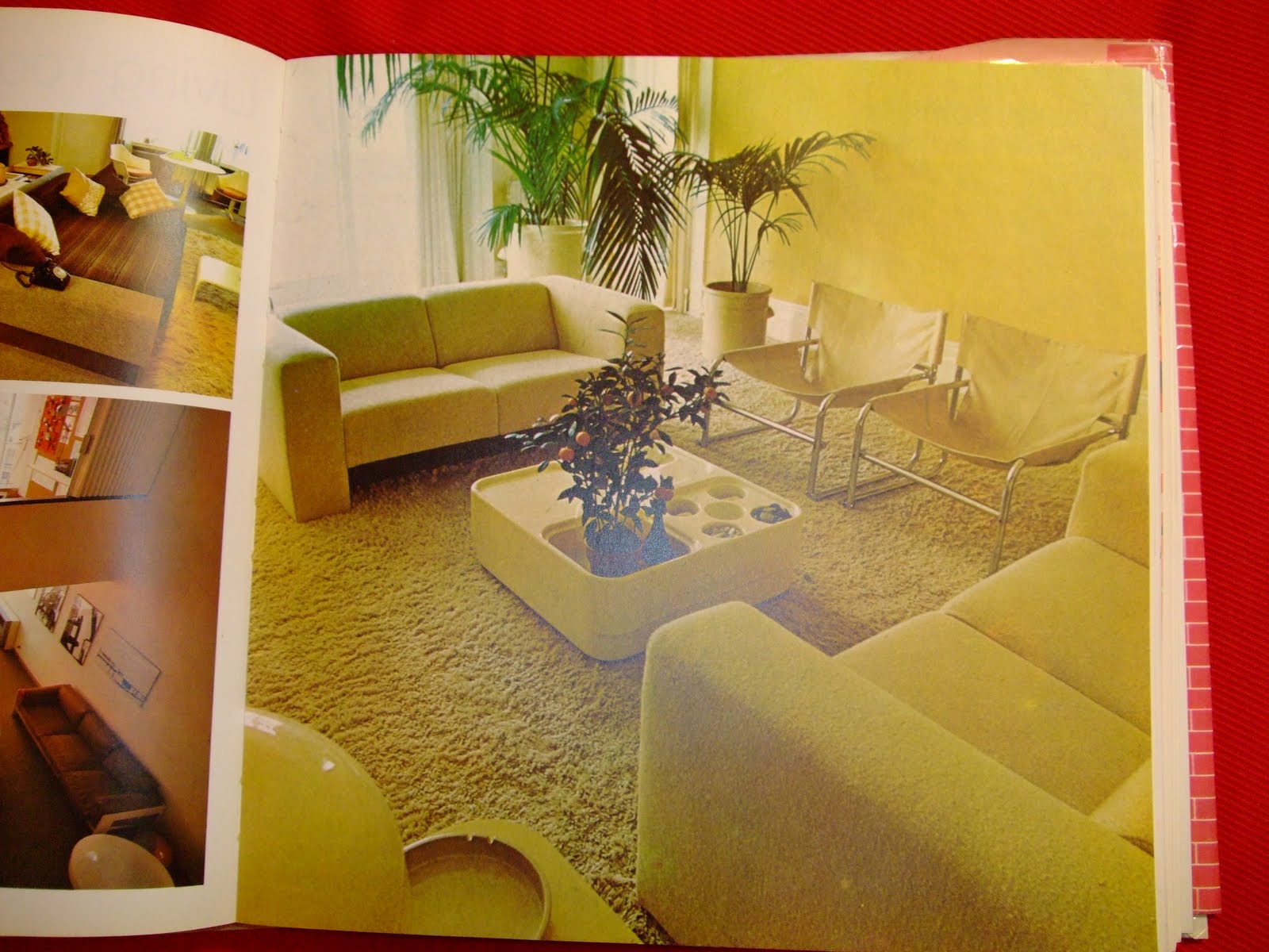 Calico Crystal: "The House Book," or, "The Greatest Book of All"